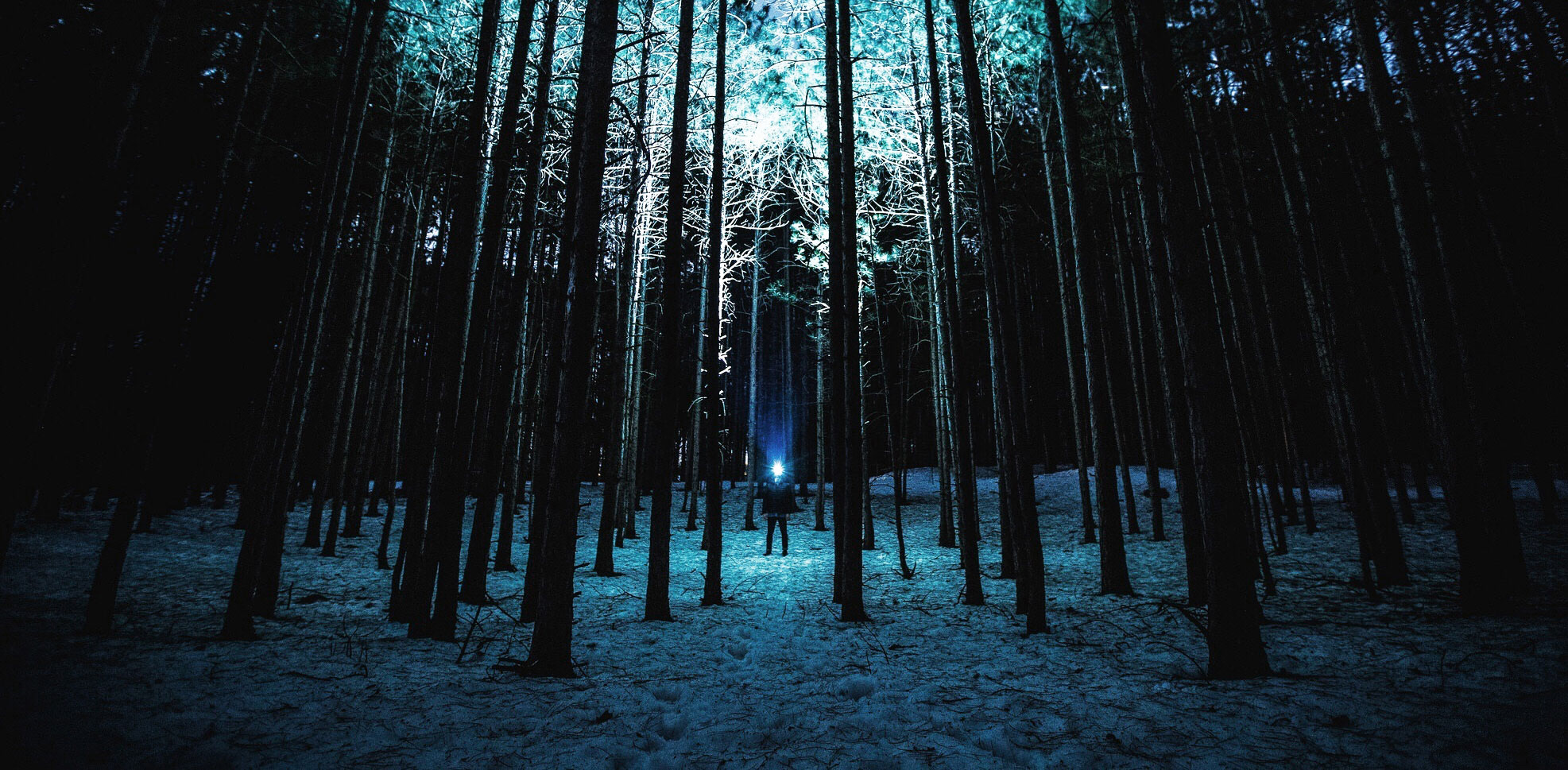 ReviewRight® Document Review Services | HaystackID